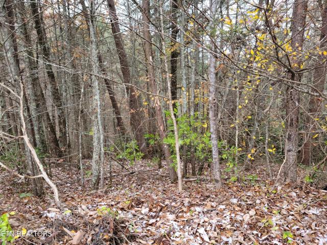 Lot 1 & 2 Ridgeview Drive