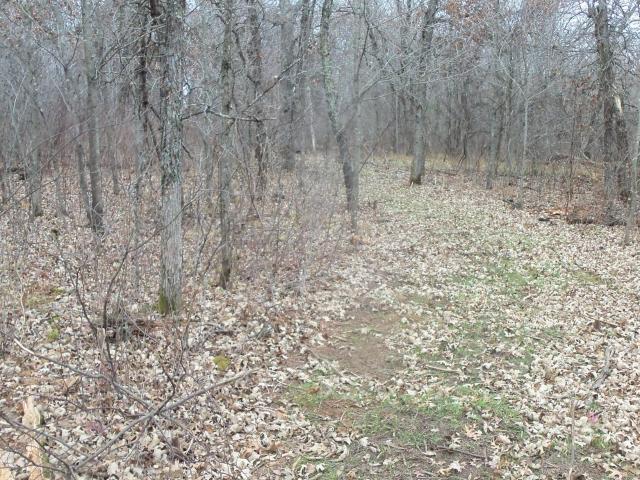 Lot 1 300th St