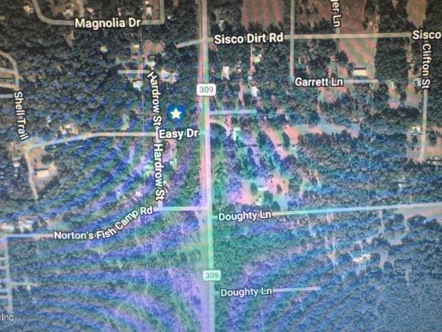 Lot 1 309th, Satsuma, FL 32189 | MLS #2129