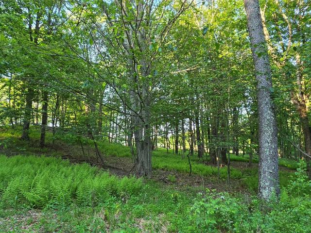 Lot 1.35 W Shore Road