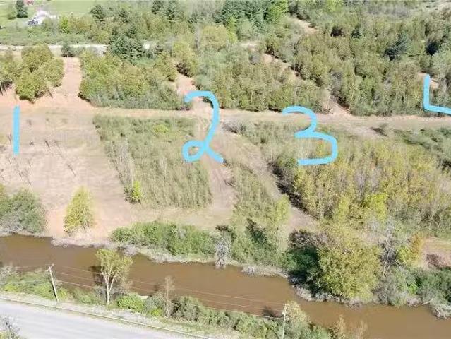 Lot #1 Thompson Trail Drive, Dexter, NY 13634