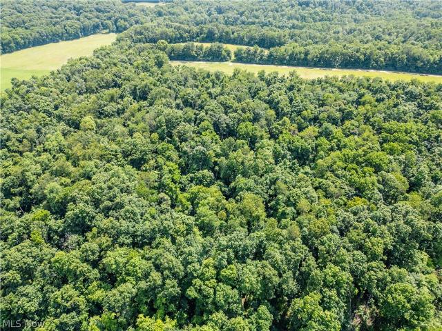 Lot 1 Township Rd 51
