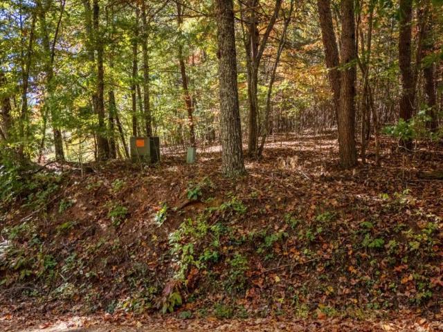 LOT 1 Twin Mountain Road