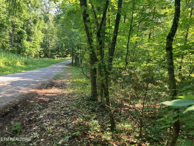Lot 1 Tumbling Run Rd