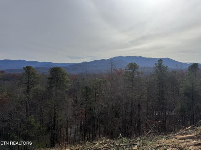 Lot 1 Vista Drive