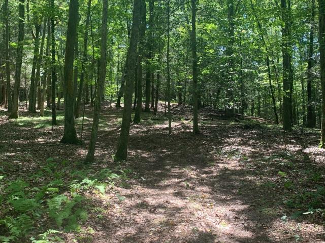 Lot 1 W Chalybes Rd, Roxbury, CT 06783 | MLS #24169 | Compass