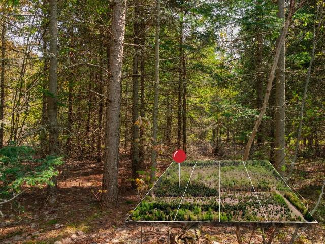 Lot 1 W Pendills Lake Road