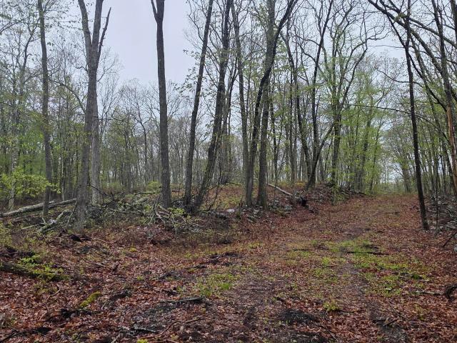 Lot 1 White Birch Drive