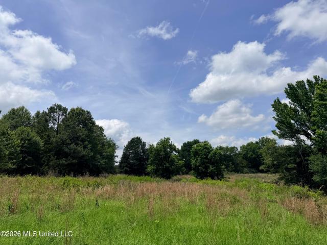 Lot #1 Wildwood At Pinehaven Drive