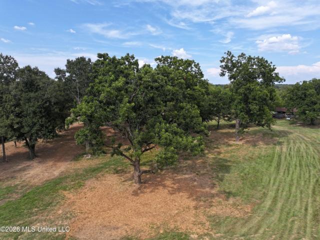Lot 1 Wildwood, Clinton, MS 39056