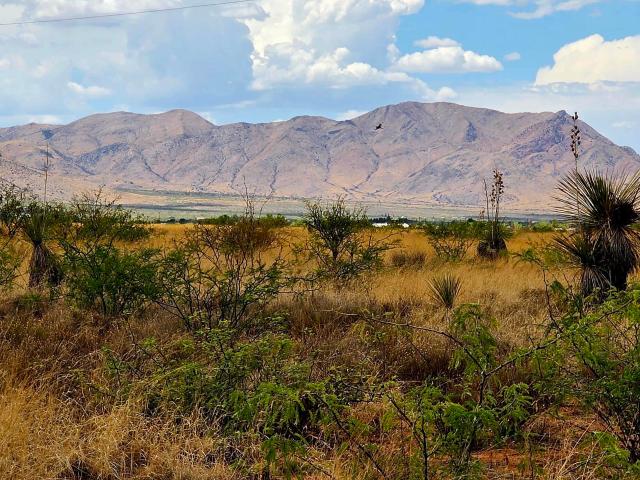 Lot 1 Willcox Rd, Unit 1, Pearce, AZ 85625 | MLS #22518
