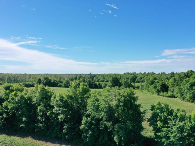 Lot 1 Williams Road