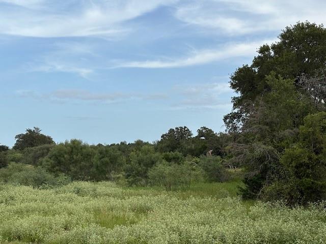 Lot #1 Willis Ln