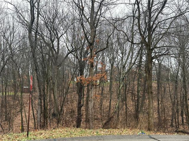 Lot #1 Woodhaven Drive