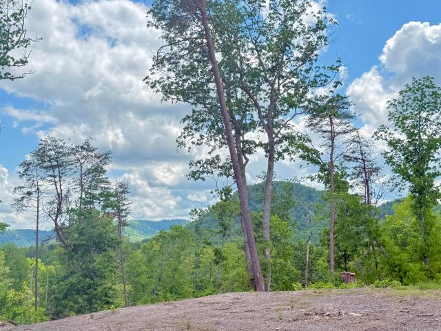 Lot 1 Woodland Estates