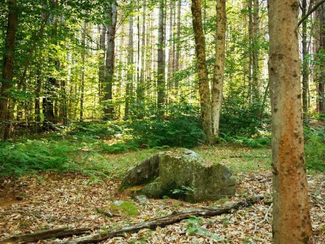 Lot 1 Woodstone Trail, Lumberland, NY 12737 | MLS #903323