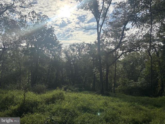 Lot 1 Wolfsville Road