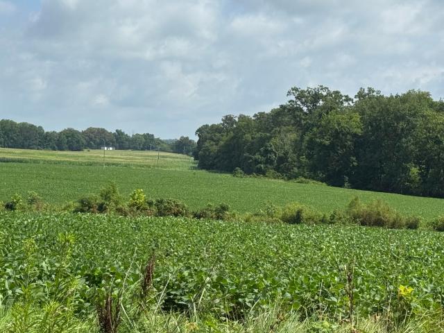Lot 1 Zander Road