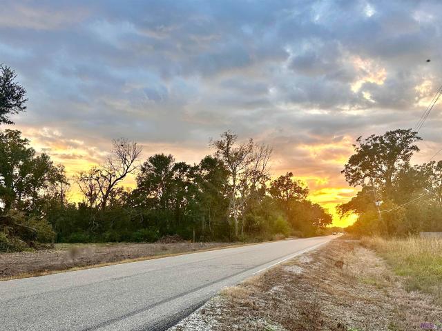 Lot #1 A La Hwy, Darrow, LA 70725 | MLS #BR2025021