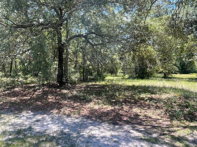 Lot 1 a 13 Coopers Point Dr, Townsend, GA 31331 | MLS #10603