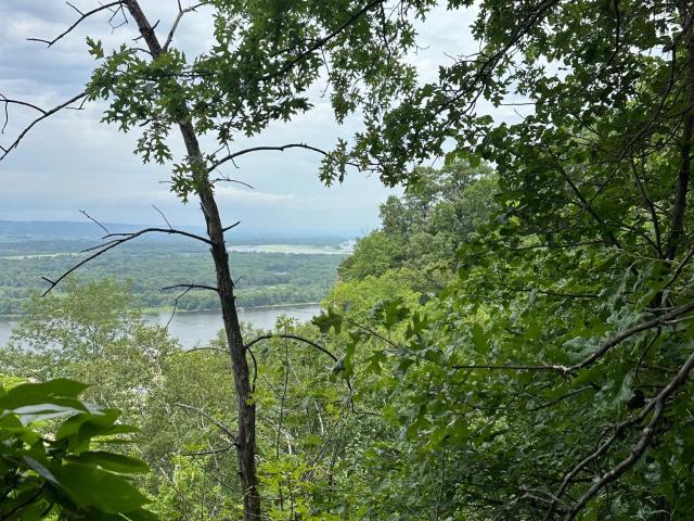 Lot 1 Alma Hills