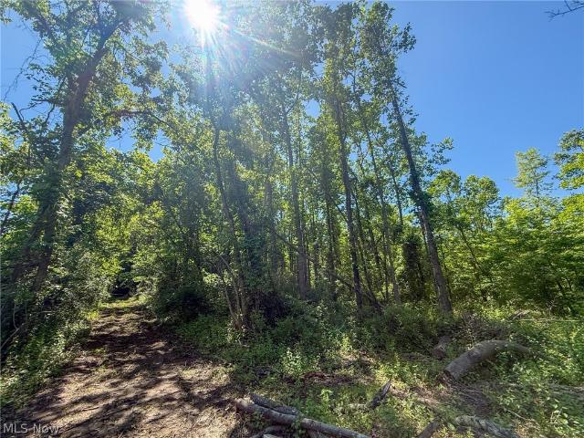 Lot 1 Altamont Rd