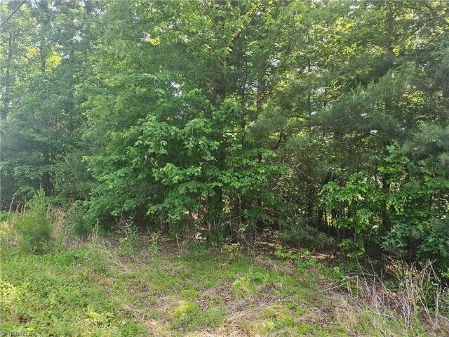 Lot 1 Ashland Lane