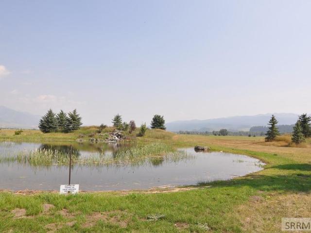 Lot 1 b2 Swan Springs Dr, Swan Valley, ID 83449 | MLS #2185