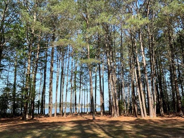 Lot 1 Bailey Beach Dr