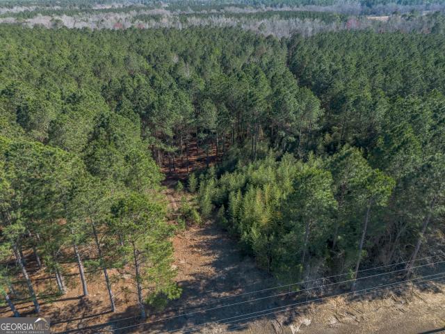 LOT 1 Ben Giddens Road