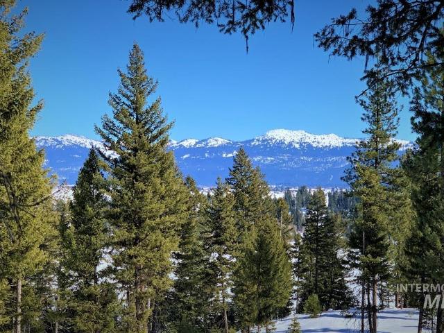 Lot 1 Bella View Dr, McCall, ID 83638 | MLS #98905