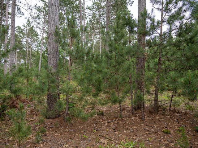 Lot 1 Bollig Court