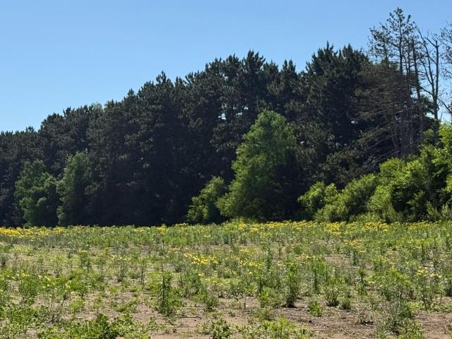 Lot 1 Block 1 87th Street SE