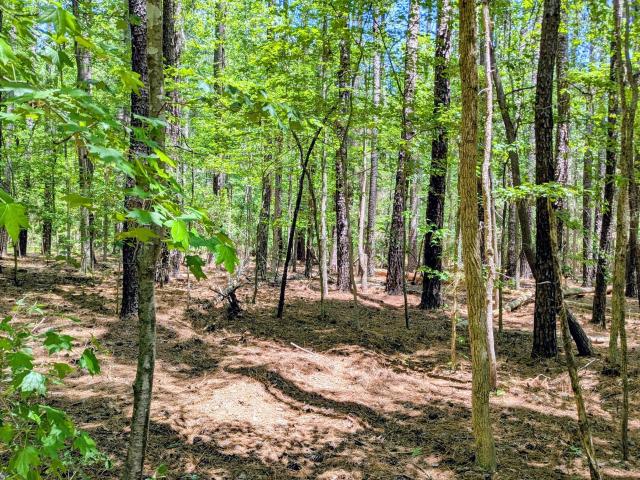 Lot 1 Blueberry Lane