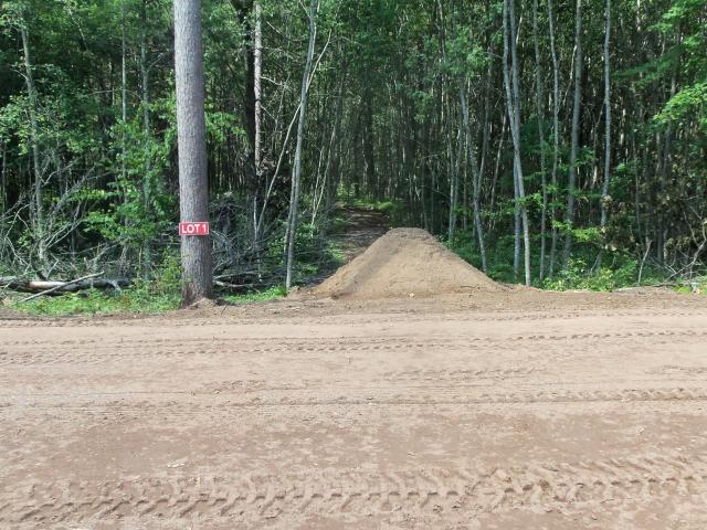Lot 1 Brch Tree Trl