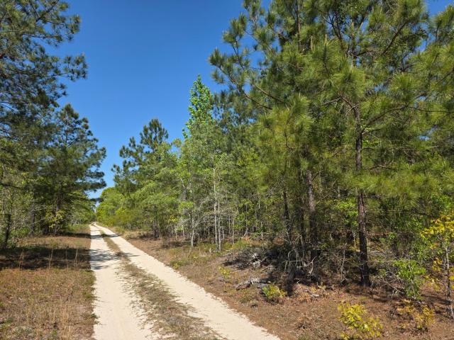 Lot 1 Briarwood Drive