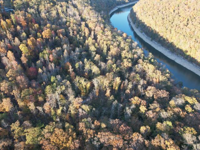 Lot# 1 Buck Creek Circle