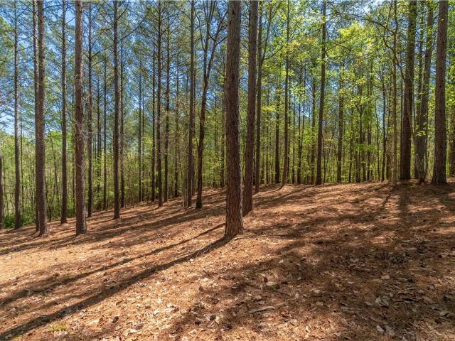 Lot 1 Canebrake Dr, Salem, SC 29676 | Compass