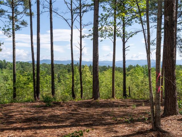 Lot 1 Canebrake Estates
