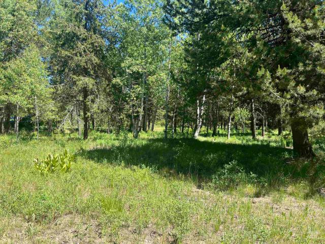 Lot 1 Chad Drive