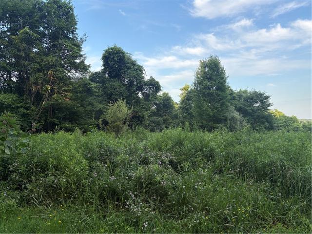 Lot#1 Christie Rd