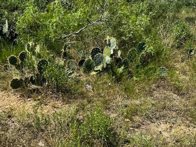 Lot 1 County Road 420, Waelder, TX 78959 | MLS #40249 | Compass