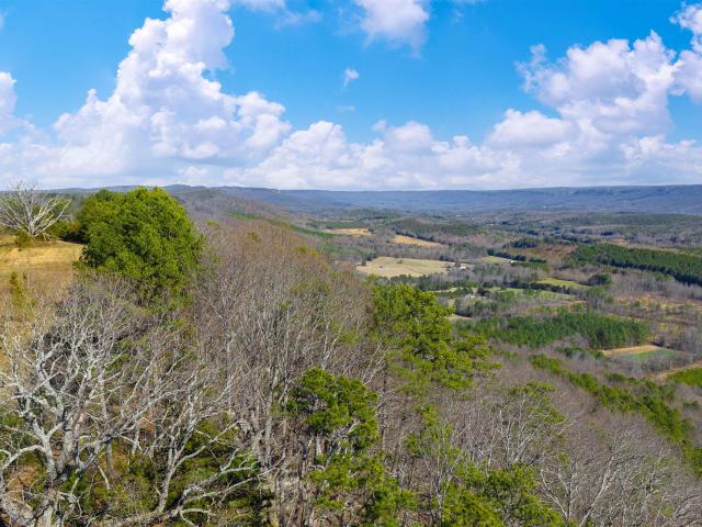 Lot 1 County Road 730