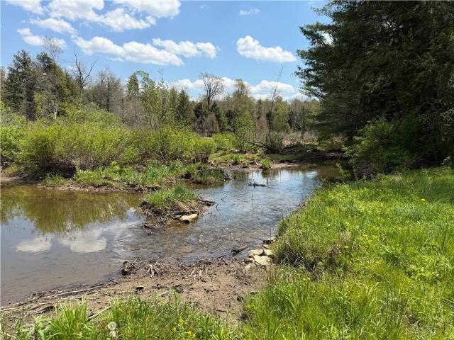 Lot 1 County Road 16