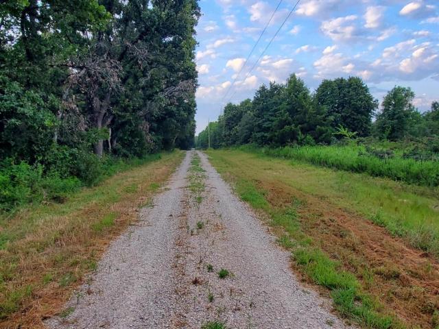 Lot 1 County Rd 2100