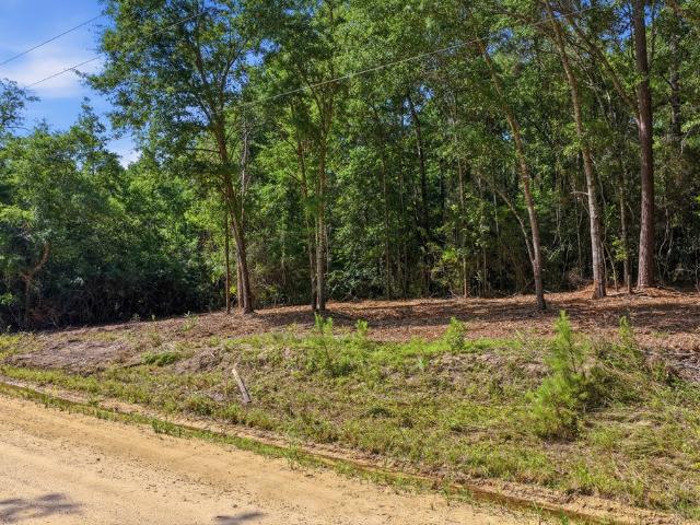 Lot #1 Crosby Clark Road