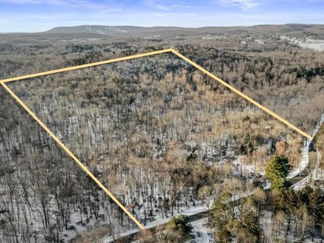 Lot 1, Cresco, PA 18326