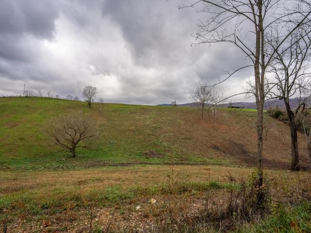 Lot 1 Curve Rd