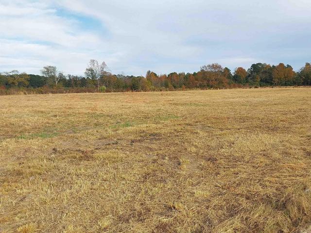 Lot 1 Davis Lane