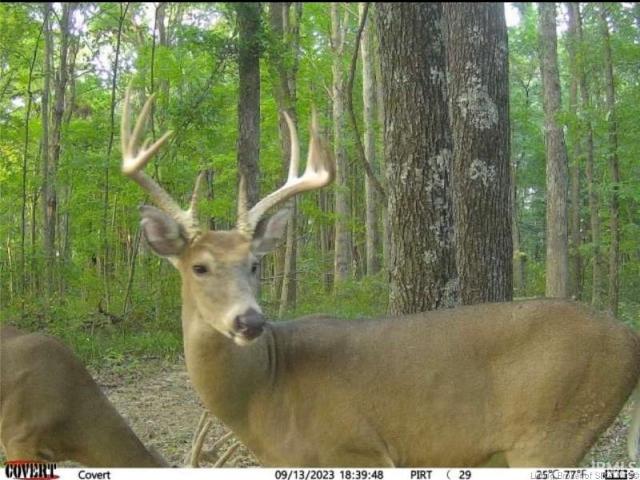 Lot 1 Deer Creek Road